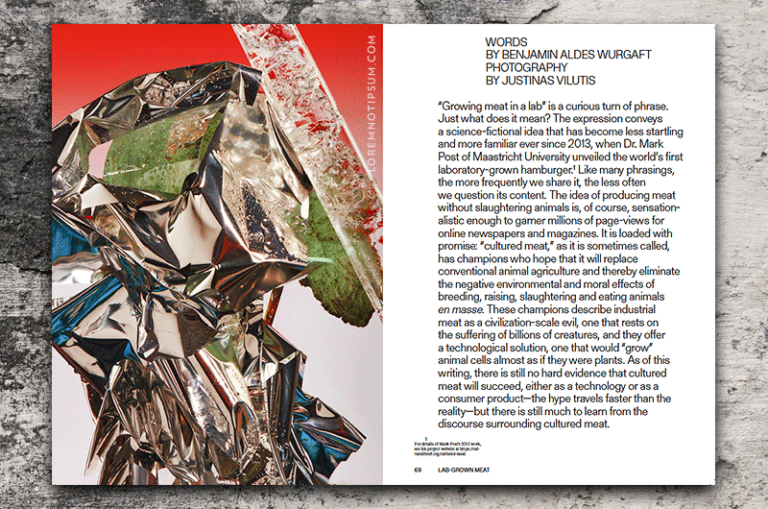 MOLD Magazine Issue 4 - Buy from LOREM (not Ipsum)