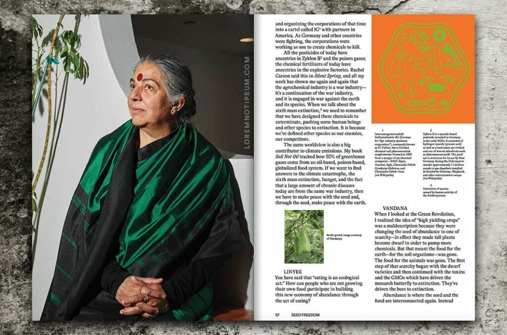 MOLD Magazine Issue 5 - Buy from LOREM (not Ipsum)