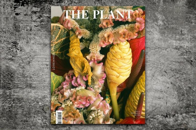The Plant Magazine – Issue 12 - Buy from LOREM (not Ipsum)