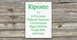 Riposte Magazine – Issue 2 - Buy from LOREM (not Ipsum)