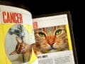 Catnip Magazine Volume 1 - Buy from LOREM (not Ipsum)